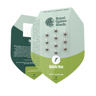 Compra semillas de marihuana Quick One Auto - Royal Queen Seeds