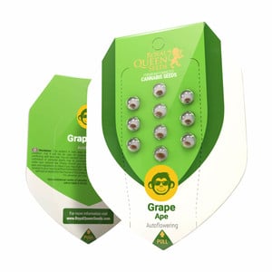 Semillas Grape Ape Auto Semillas de Marihuana - Royal Queen Seeds