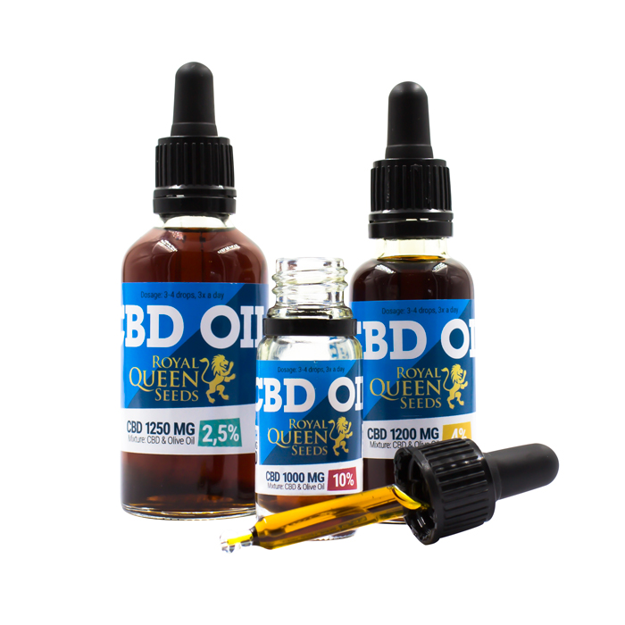 Aceites De CBD: 10 Aspectos A Tener En Cuenta - Royal Queen Seeds