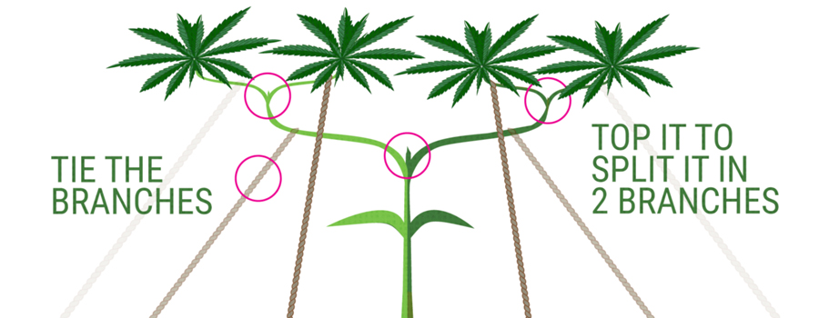 Cómo aplicar la técnica del “main-lining” - RQS Blog