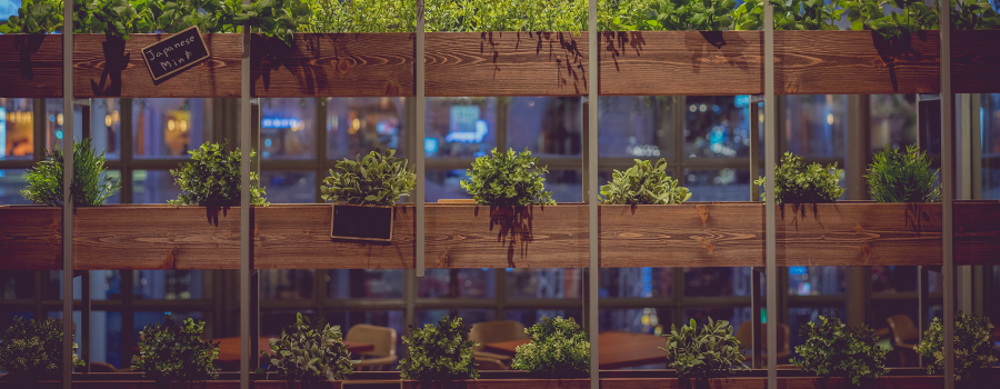 CULTIVO DE CANNABIS EN VERTICAL | Receta Cannabis