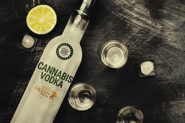 Vodka con cannabis: 2 maneras sencillas de prepararlo - RQS Blog