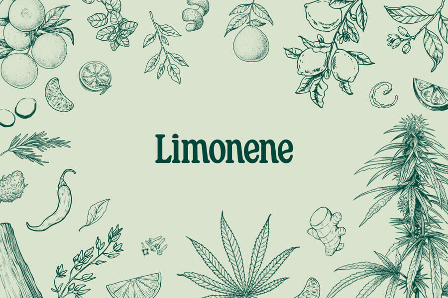 Limoneno: todo lo que tienes que saber sobre este terpeno - RQS Blog