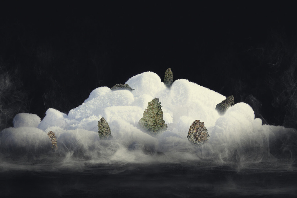 Cómo hacer hachís con hielo seco o Bubble Hash - RQS Blog